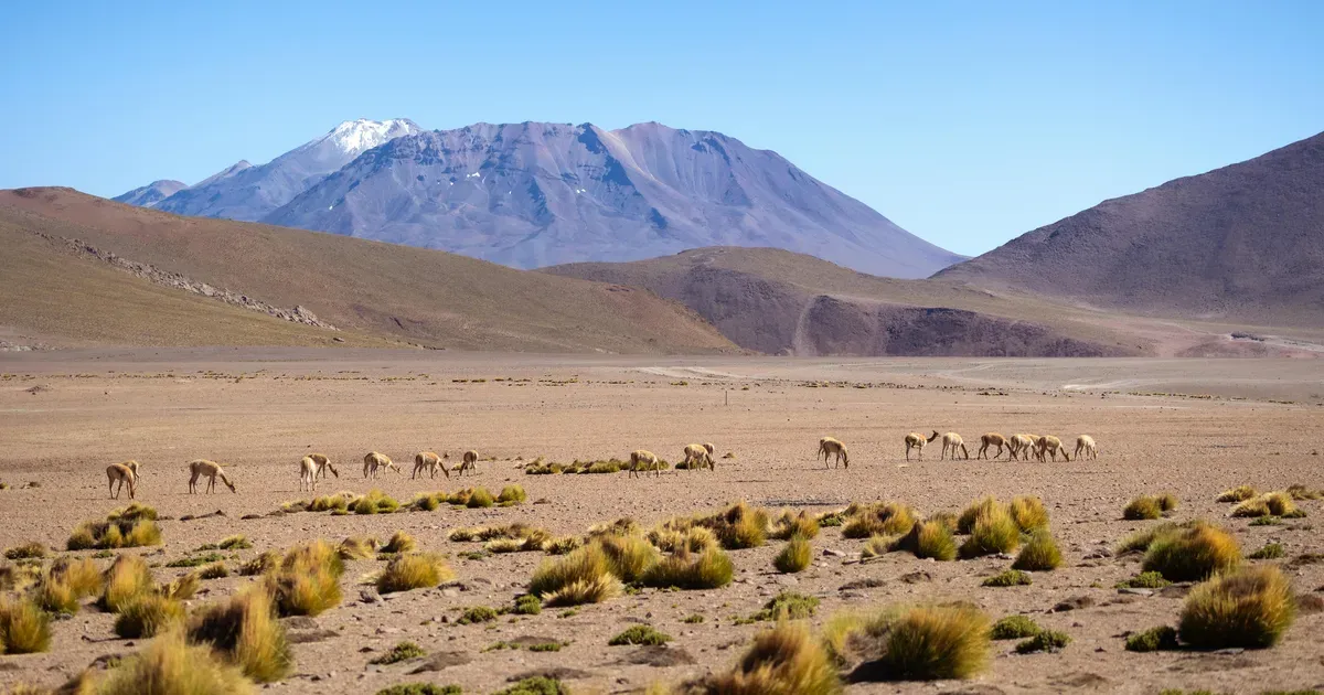 Private Atacama Desert Tours - Top Rated Experiences